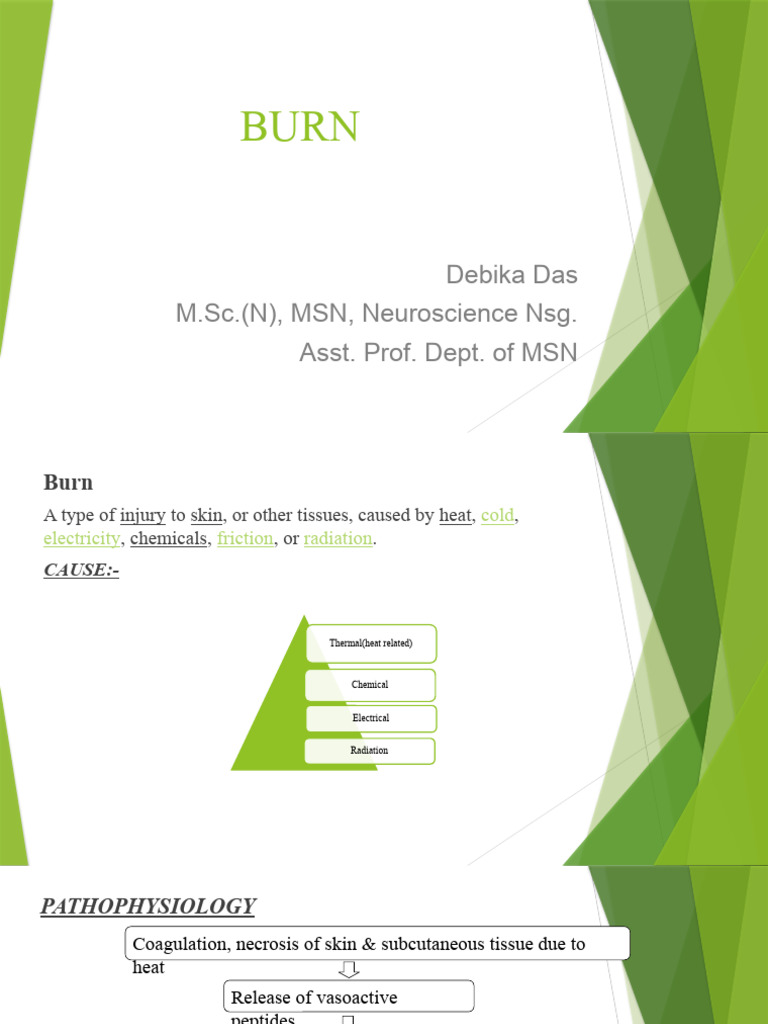 BURN | PDF | Burn | Skin