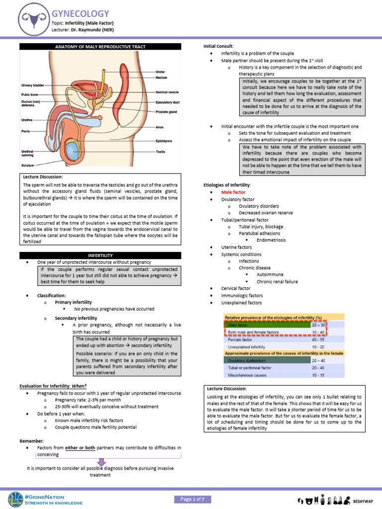 GYNE - Infertility (NER) | PDF | Infertility | Fertility