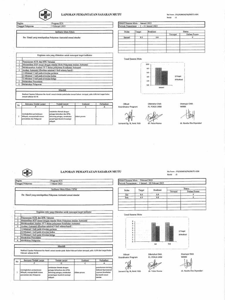 LPIM Ibu Hamil | PDF