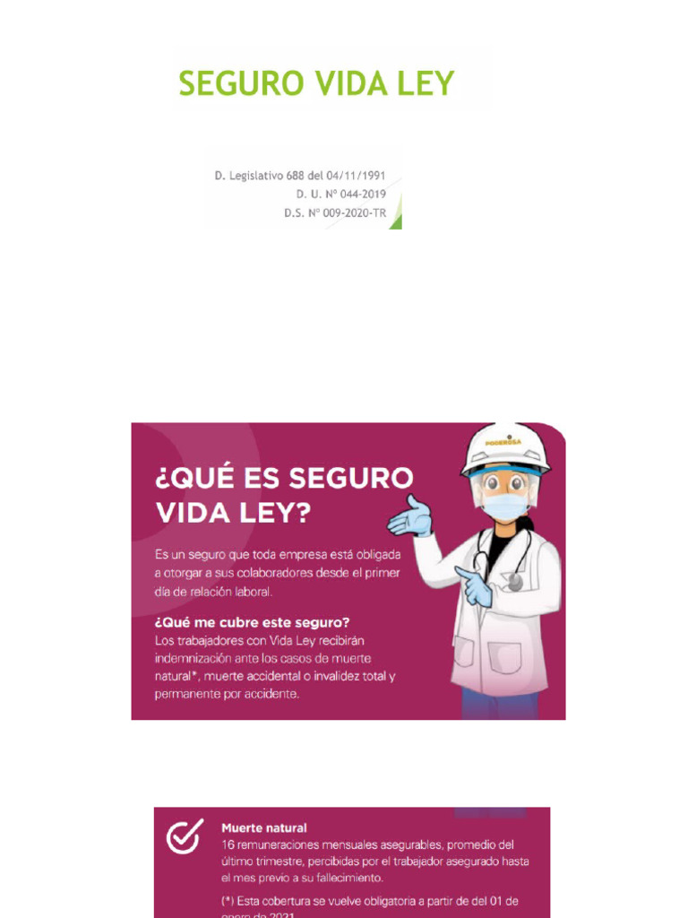 Seguro Vida Ley | PDF
