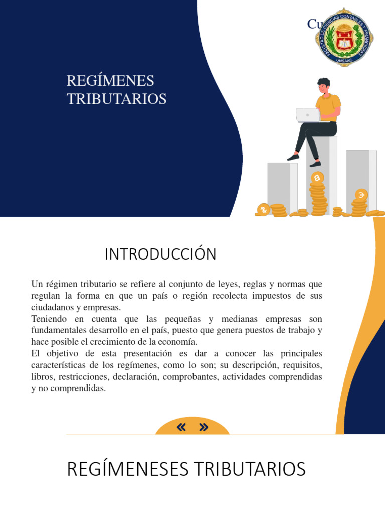 4 Regimenes Tributarios | PDF | Documento de identidad | Impuestos