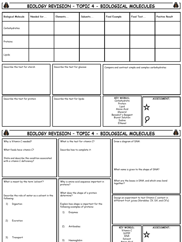 Topic 4 Biological Molecules Summary Sheets | PDF | Proteins | Biomolecules