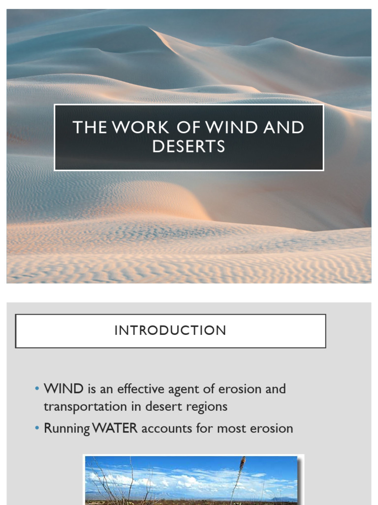 Desert | Download Free PDF | Dune | Earth Sciences