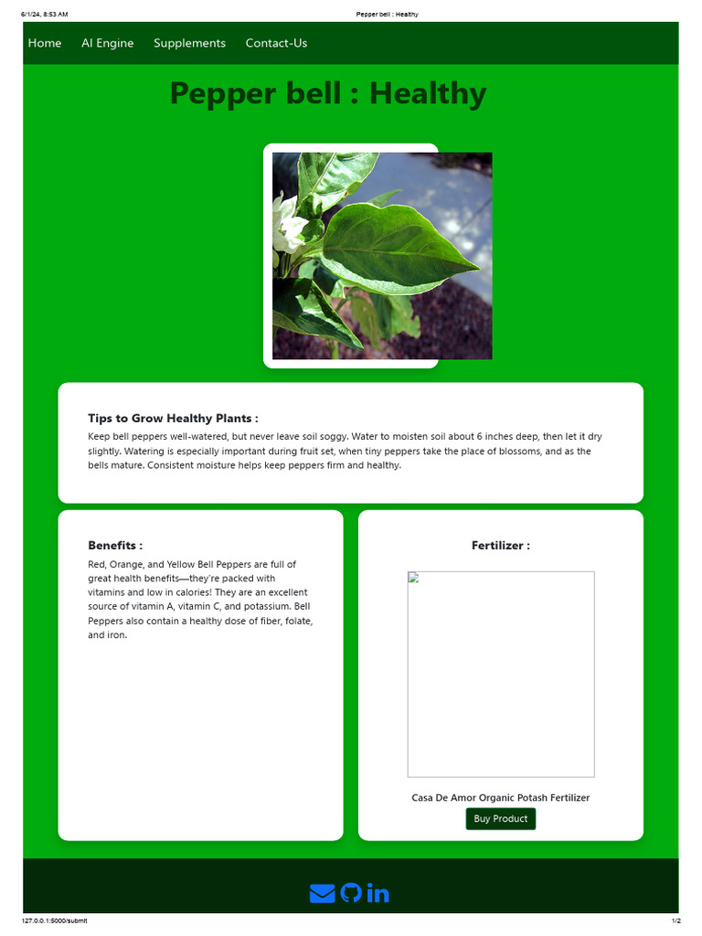 Pepper Bell - Healthy | PDF