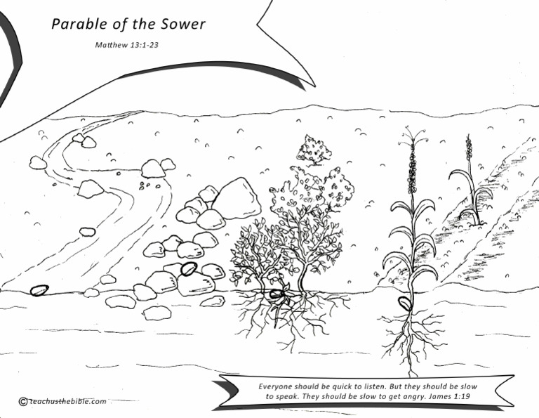 L59 Parable of The Sower | PDF