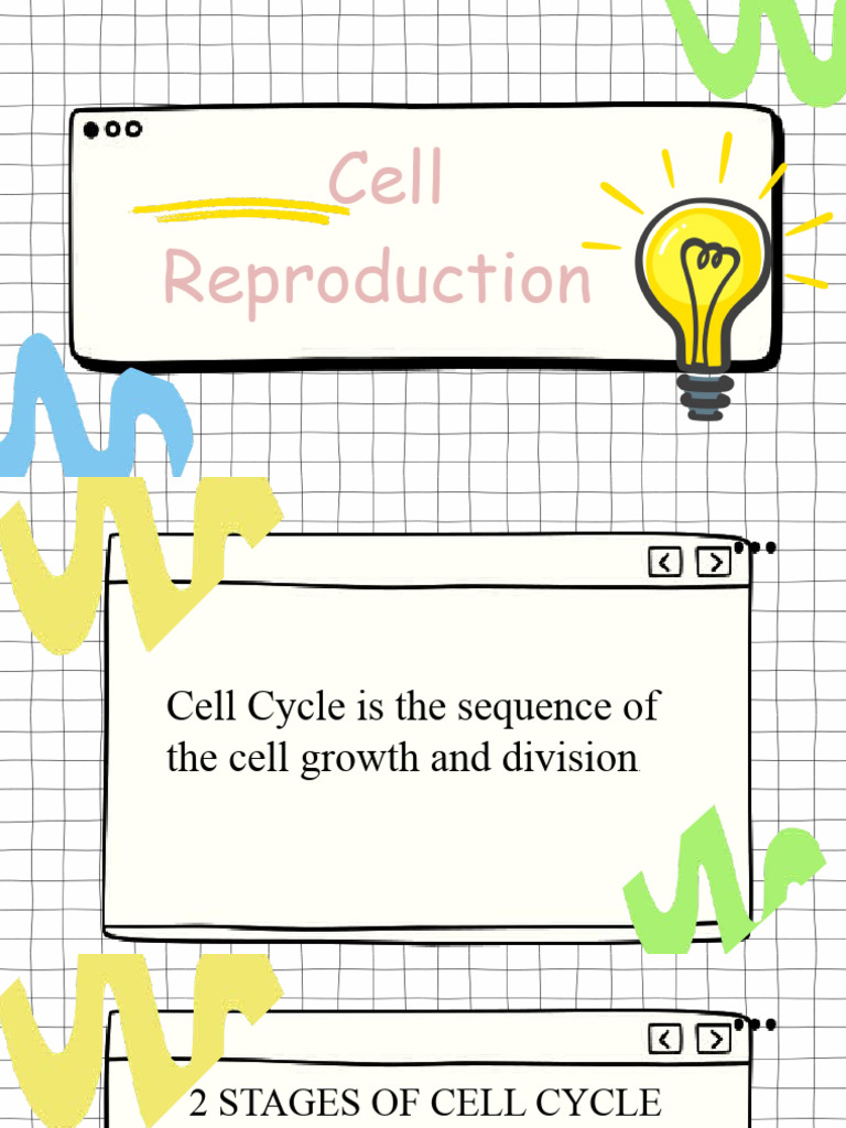 Cell Reproduction | PDF | Mitosis | Meiosis