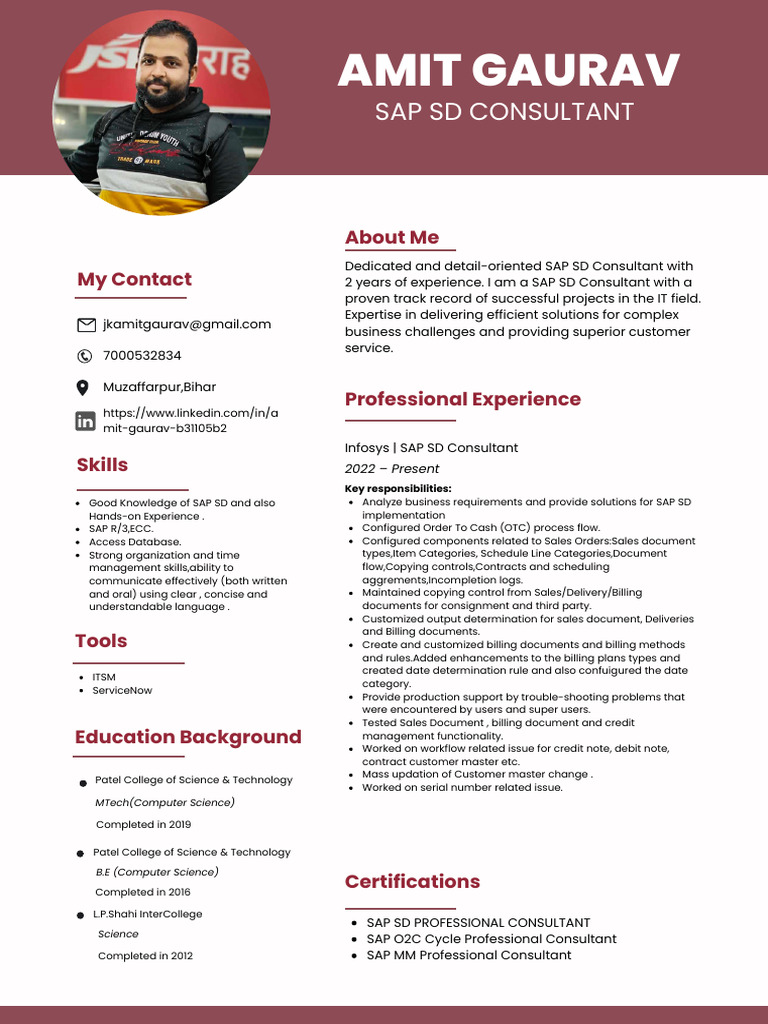SAP SD _ Resume | PDF | Consultant | Science