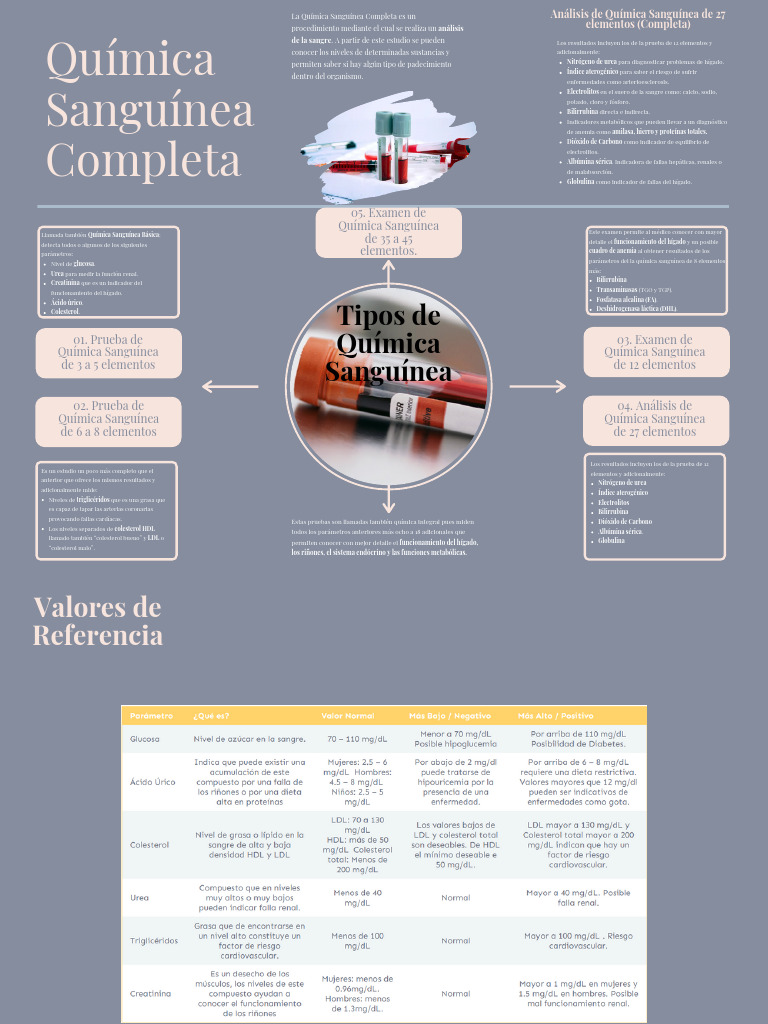 Análisis de Química Sanguínea Completa | PDF | Sangre | Riñón