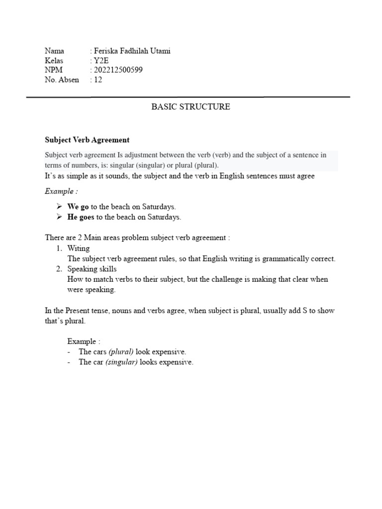 Basic Structure | PDF | Grammatical Number | Verb