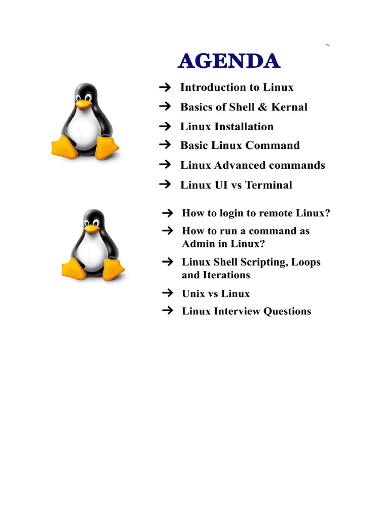 Liinux Basics | PDF | Installation (Computer Programs) | Superuser