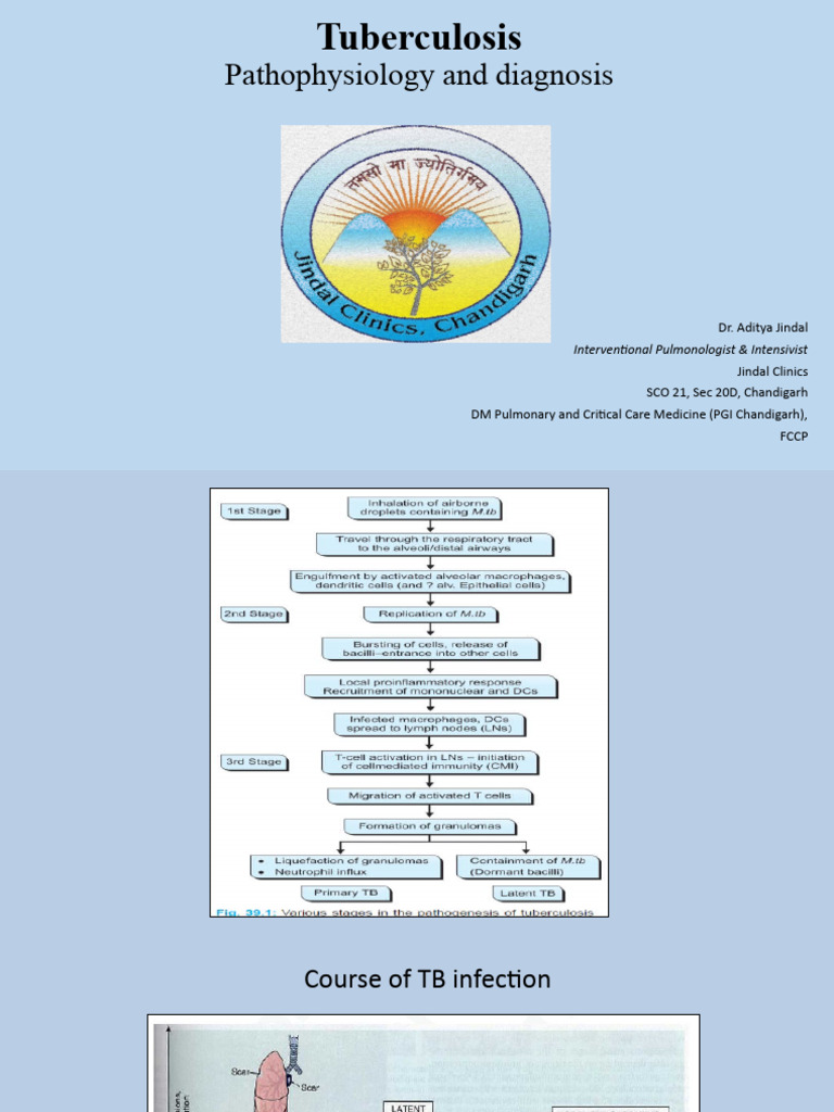 Tuberculosis Pathophysiology and Diagnosis | Download Free PDF ...