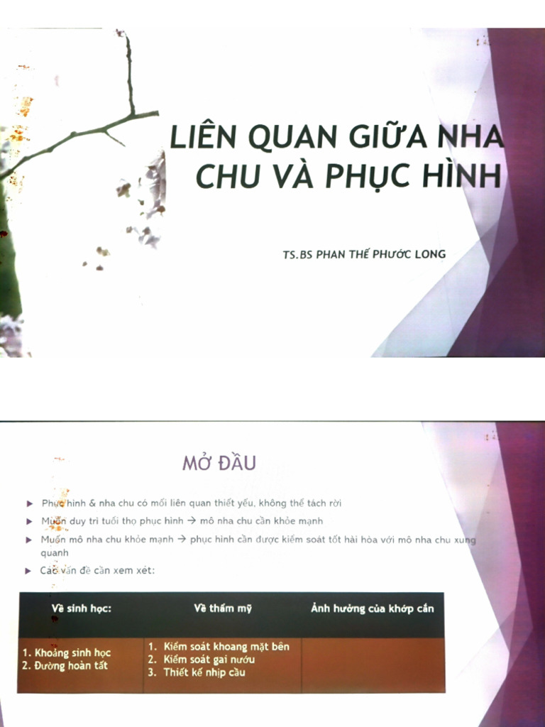 Liên Quan Gi A NC Và PH | PDF