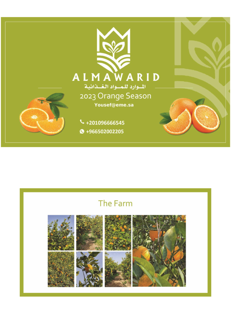 AL Mawarid Oranges 23 | PDF