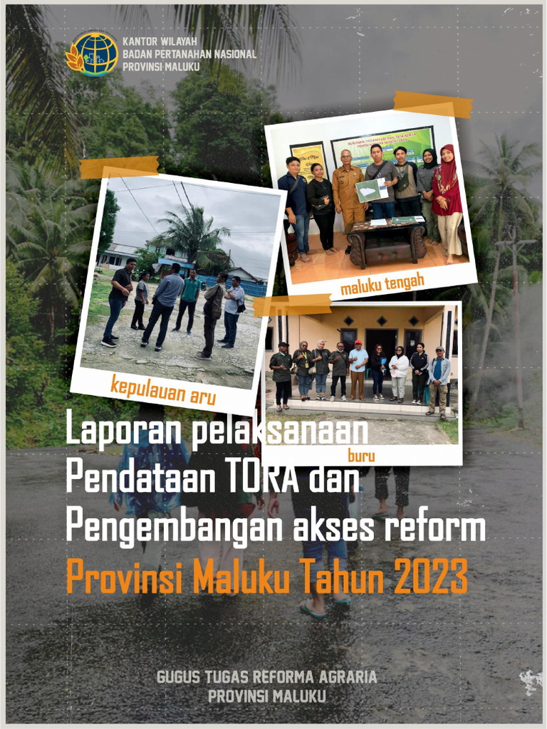 Laporan Pendataan Data TORA Provinsi | PDF