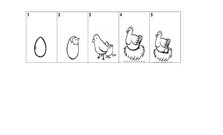 Crecimiento y Desarrollo Del Pollito | PDF