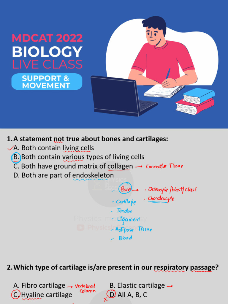 Support and Movement in Muscle Biology | PDF | Muscle Contraction | Anatomy