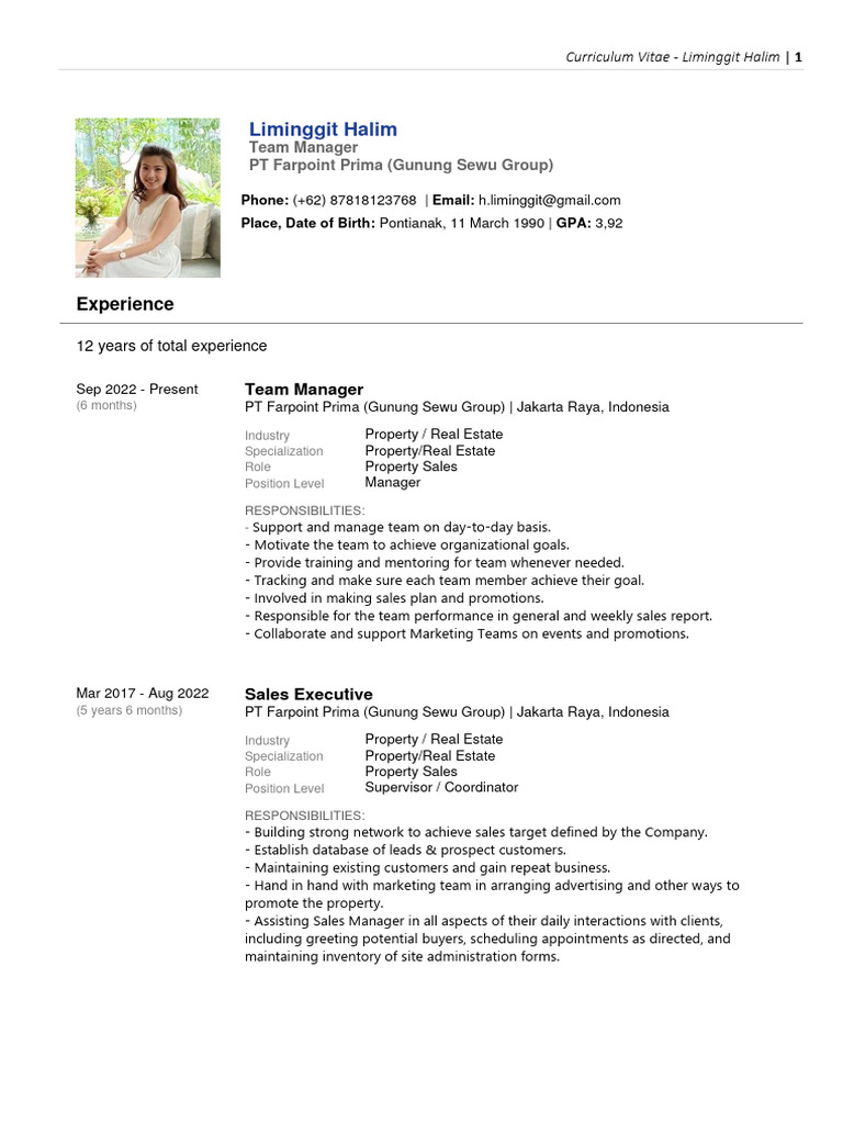 CV - Liminggit Halim - 2023 | PDF | Sales | Hotel