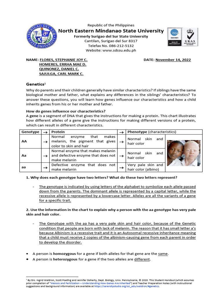 Laboratory Activities (Group) | PDF | Dominance (Genetics) | Zygosity