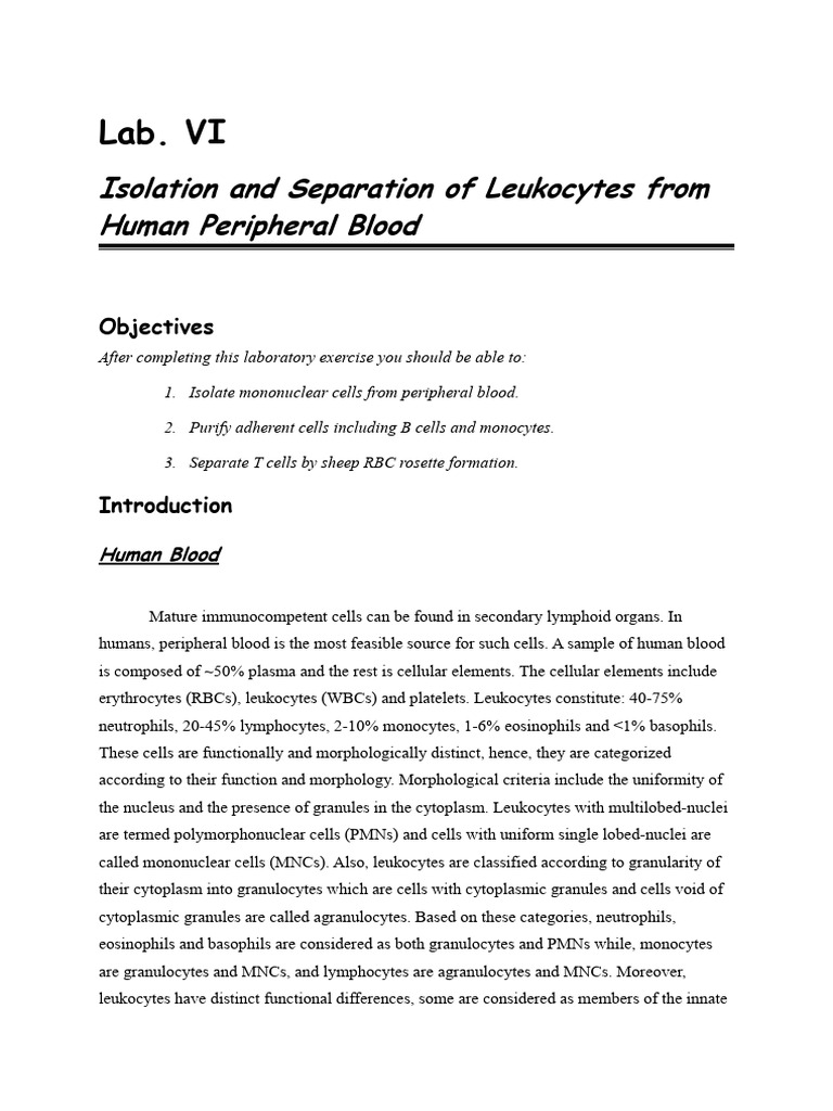 Lab 6, Isolation of PBMCs From Blood-1 | PDF | White Blood Cell ...