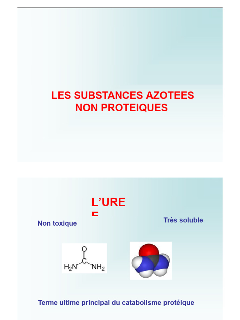 Substances Azotées Non Proteiques-Converti | PDF | Néphrologie ...
