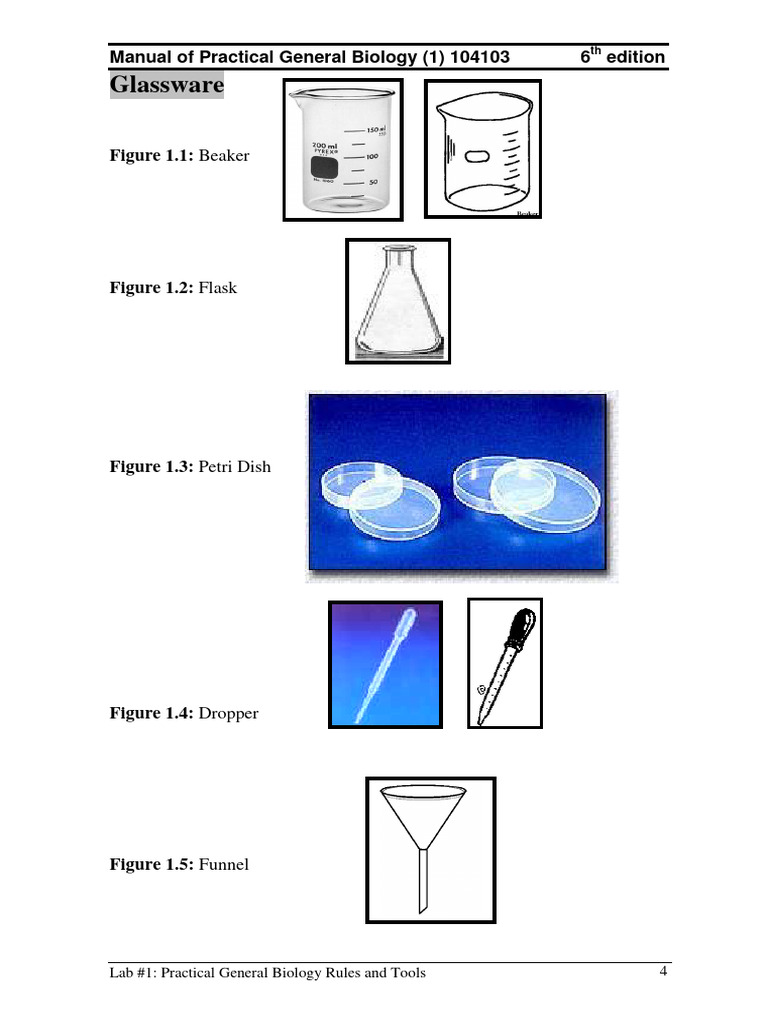 Tools and Instrument | Download Free PDF | Laboratories