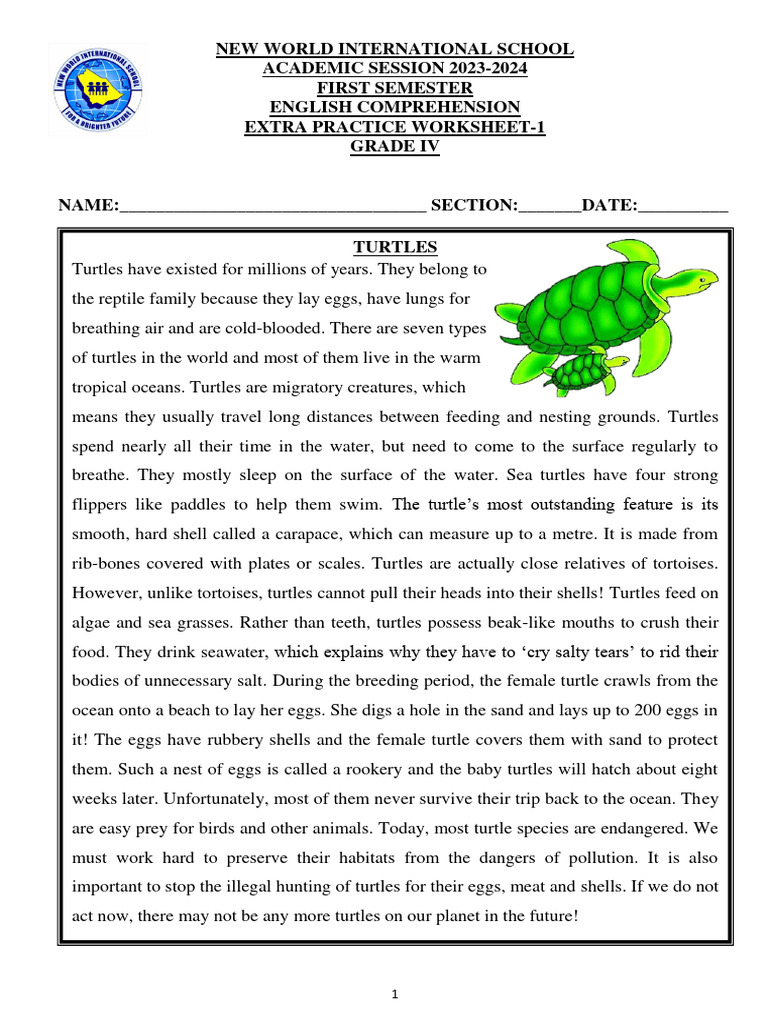 Comprehension Turtles | PDF | Turtle | Sea Turtle