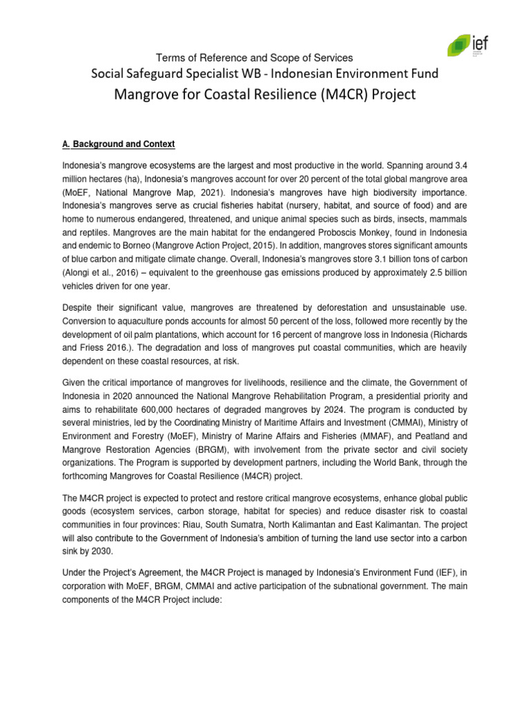 ToR and Scope of Services Social Safeguard Specialist WB - IEF - PMU ...