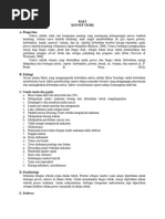 Pengkajian Nutrisi ABCD dalam Keperawatan | PDF | Kesehatan Holistik