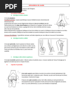 Anatomie du diaphragme stylien | PDF | Tête et cou chez l'humain ...