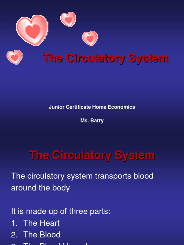 circulatory_system | PDF | Atrium (Heart) | Heart
