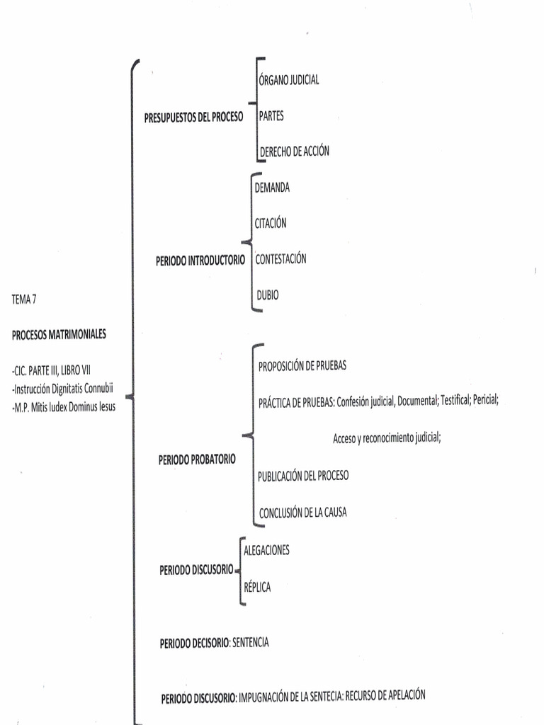 Esquema Proceso Ordinario de Nulidad Matrimonial | PDF