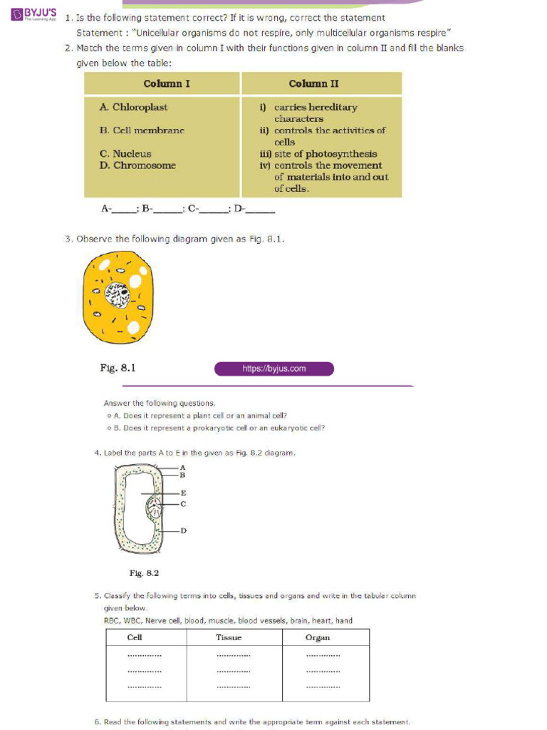 Important Questions For Class 8 Science Chapter 8 Cell Structure and Functions | PDF