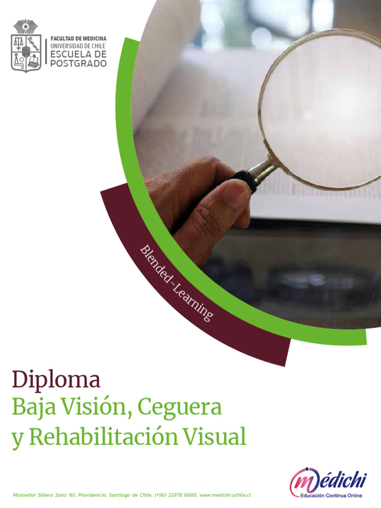Diploma en Rehabilitación Visual a Distancia | PDF | Terapia ...