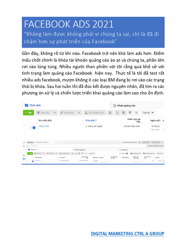 FACEBOOK ADS 2021-New | PDF