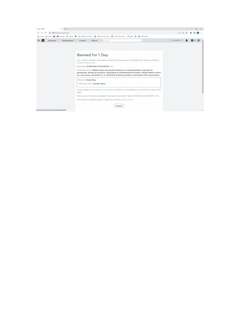 Roblox Ban | PDF