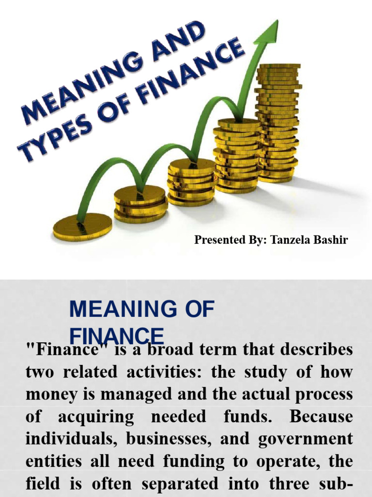 Understanding Finance: Types & Concepts | PDF | Public Finance | Taxes