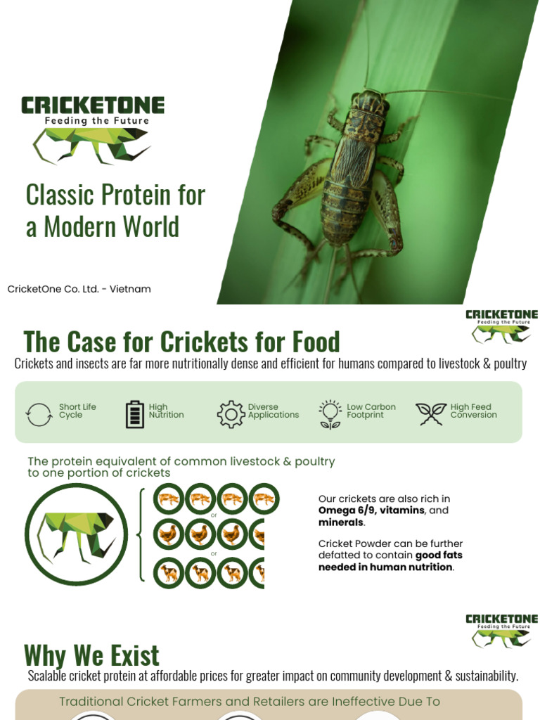 CricketOne Introduction PetFood-Presentation | PDF | Foods | Livestock
