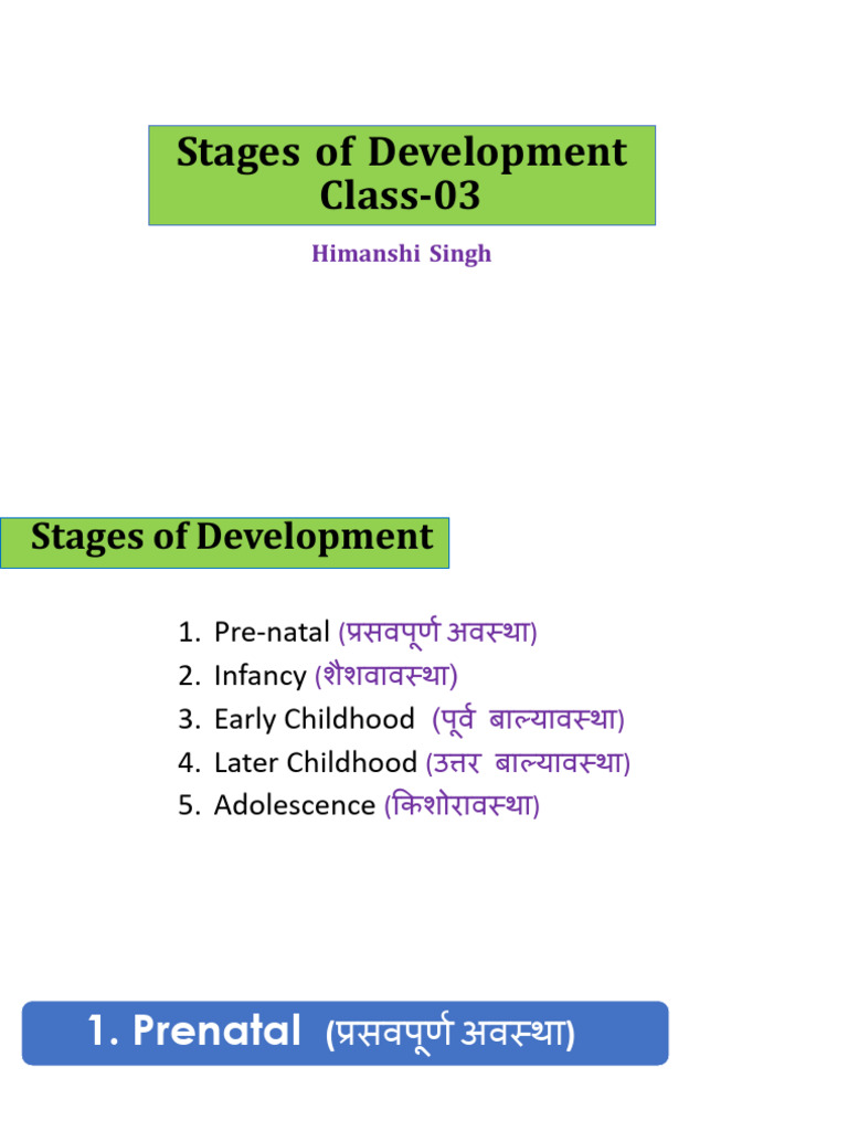 Stages of Development Class-03 | PDF