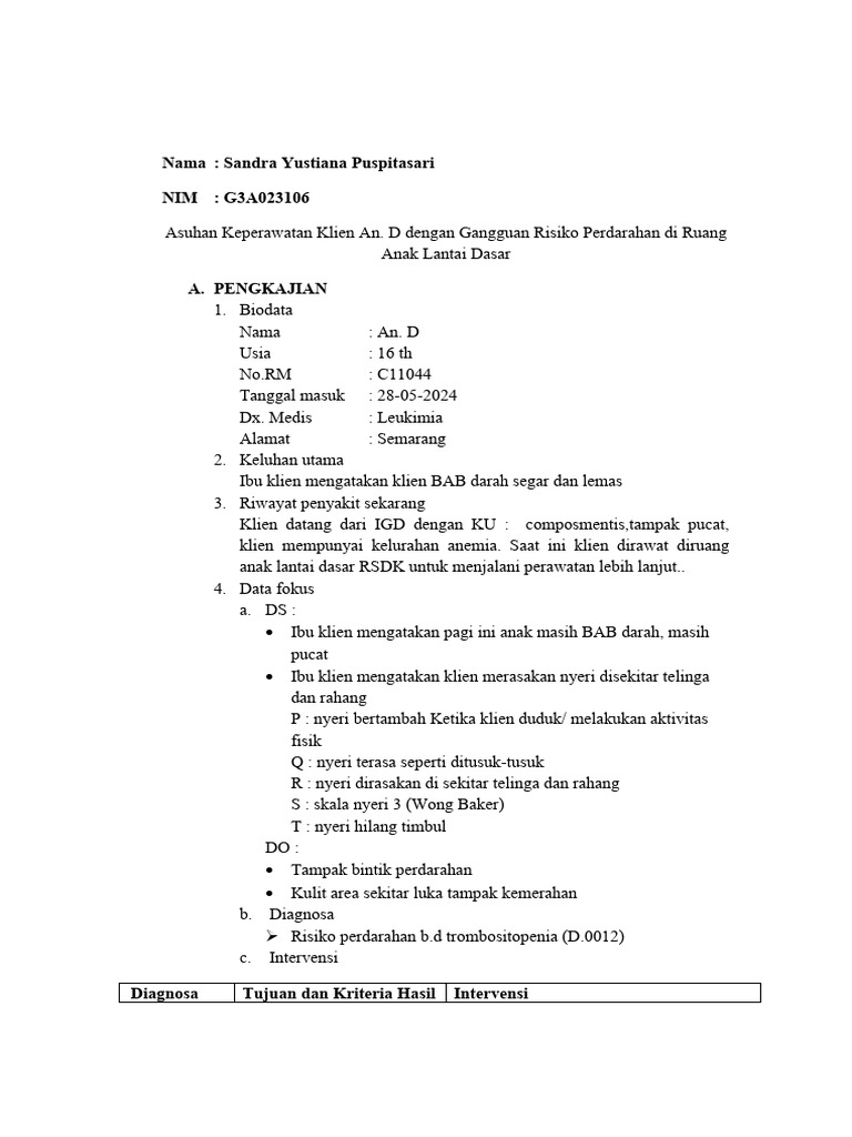 Mini CX Salinan | PDF