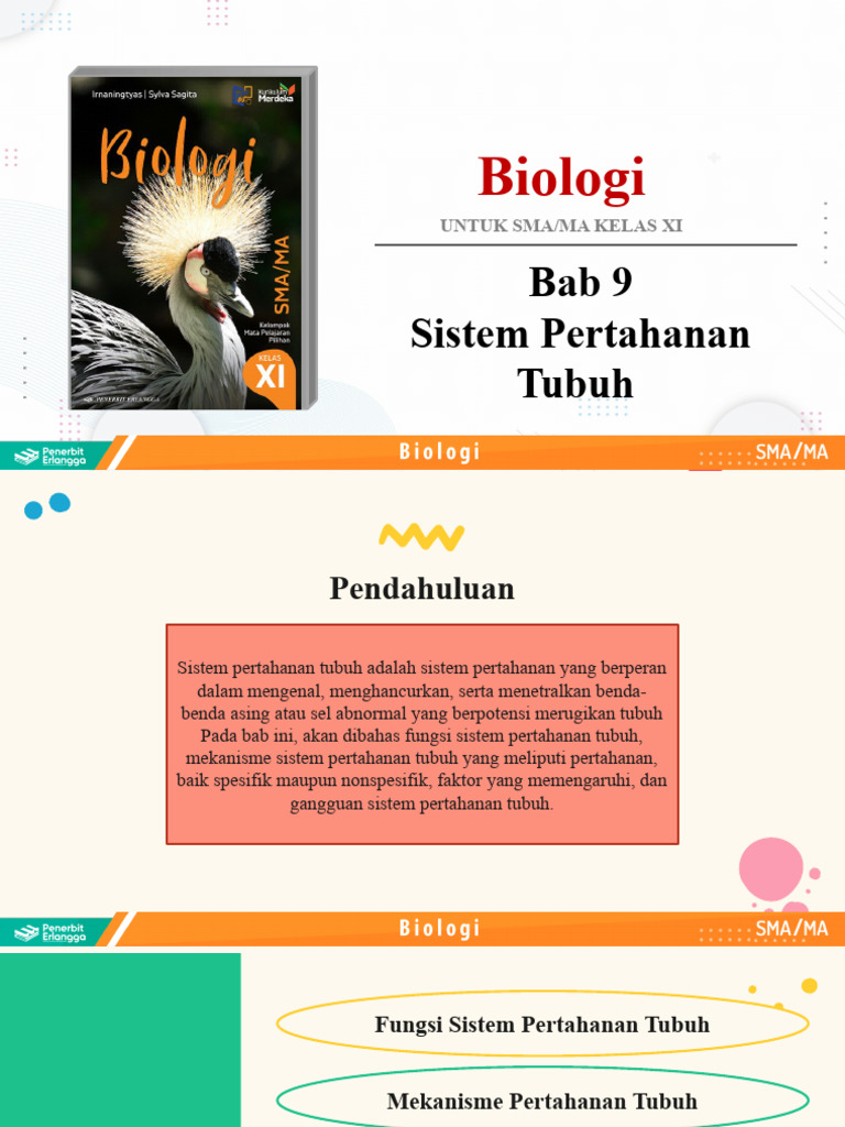 PPT Bab 9 Biologi Kelas XI Kur-Merdeka | PDF