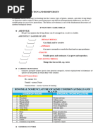 Pigeonetics Game Teacher Guide | PDF | Dominance (Genetics) | Allele