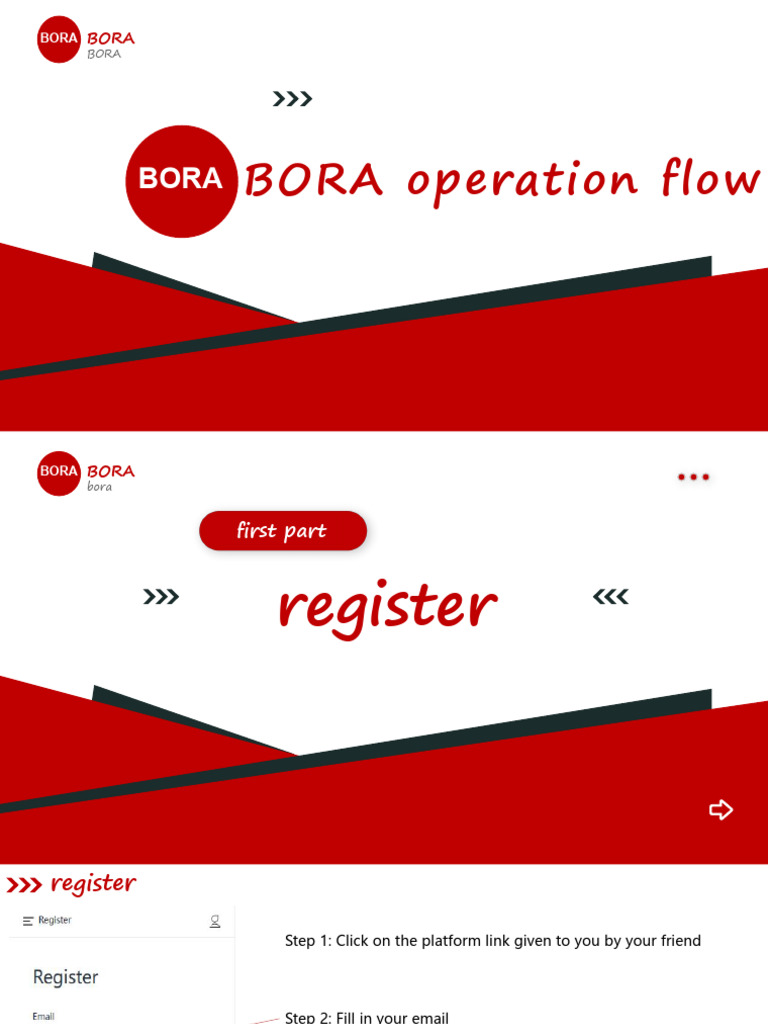BORA Registration Process Guide | PDF