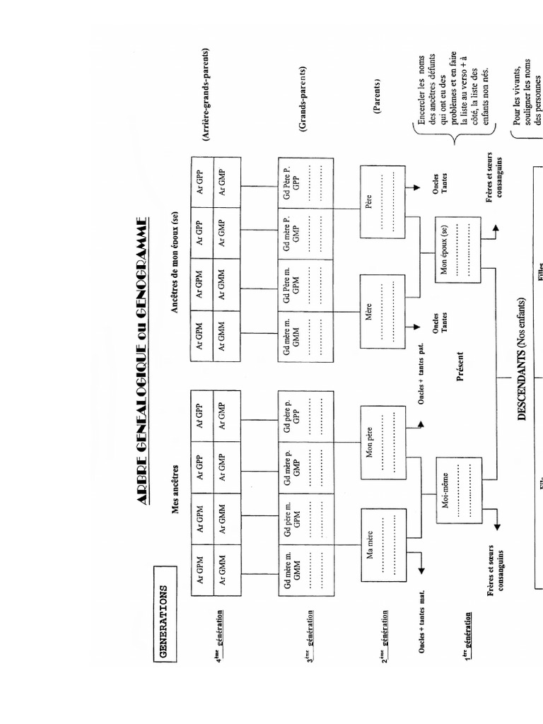 Arbre Genealogique | PDF