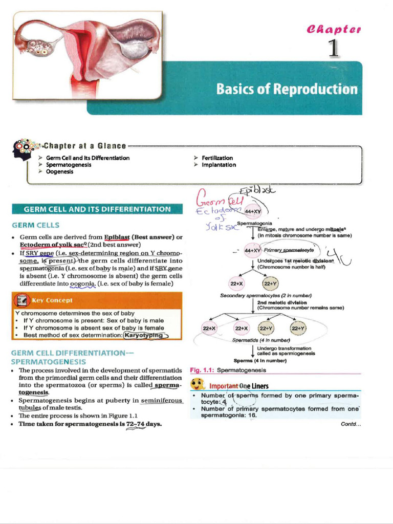 Basics of Reproduction | PDF