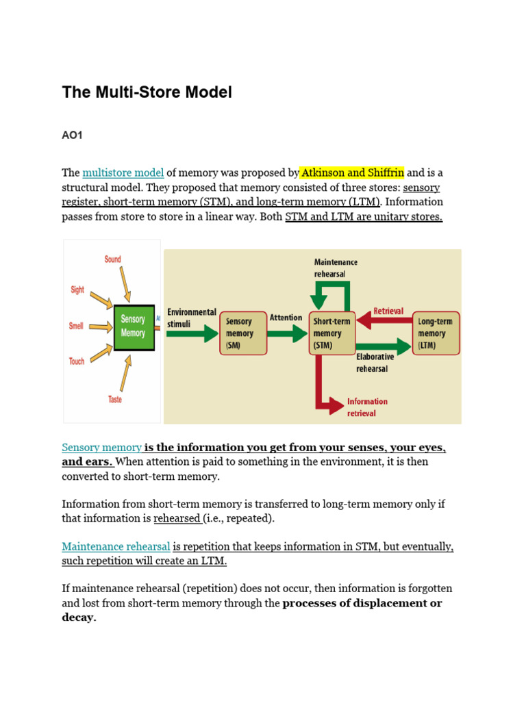 Memory Download Free Pdf Long Term Memory Memory