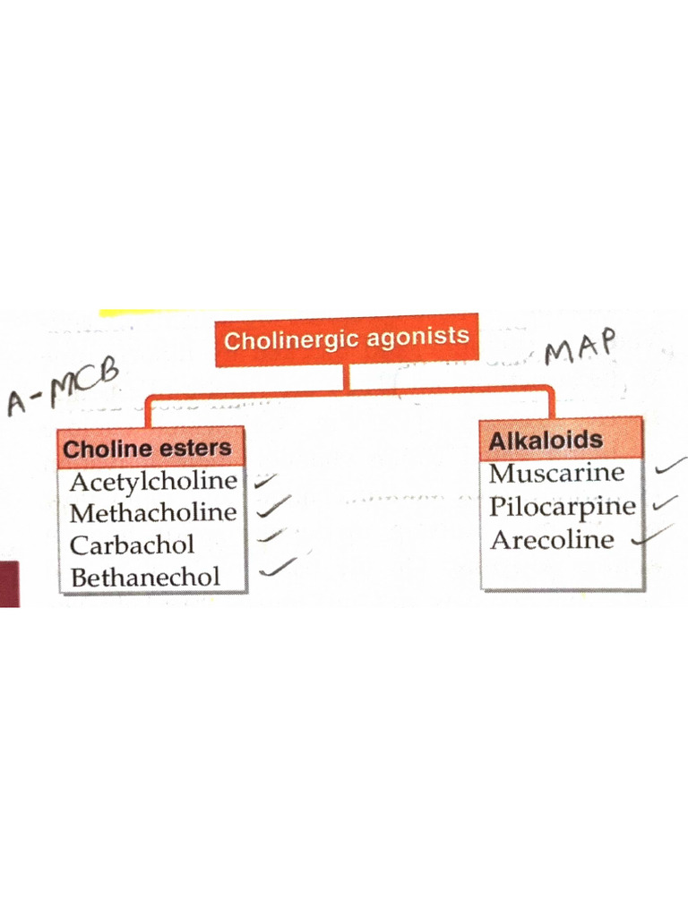 KDT Drug Classification | PDF