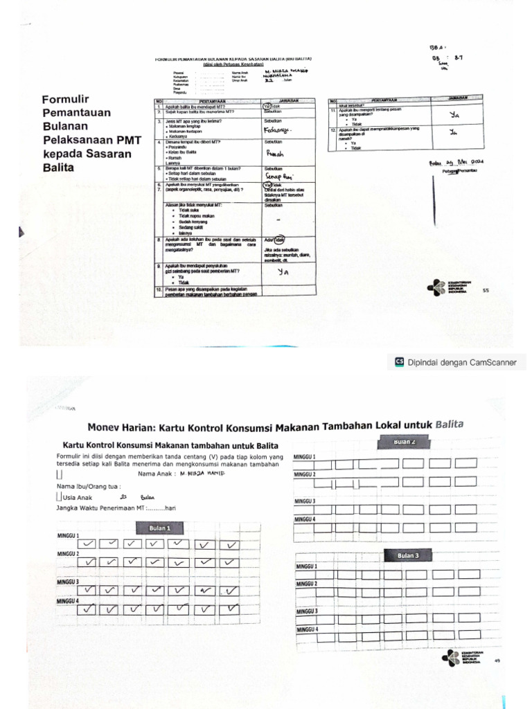 Pemantauan PMT | PDF