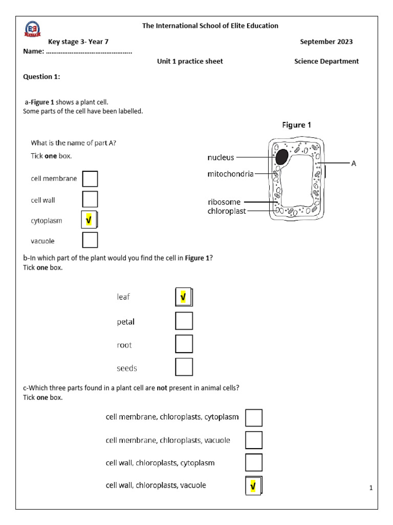 Year 7 Science Practice Sheet | PDF | Cell (Biology) | Bacteria