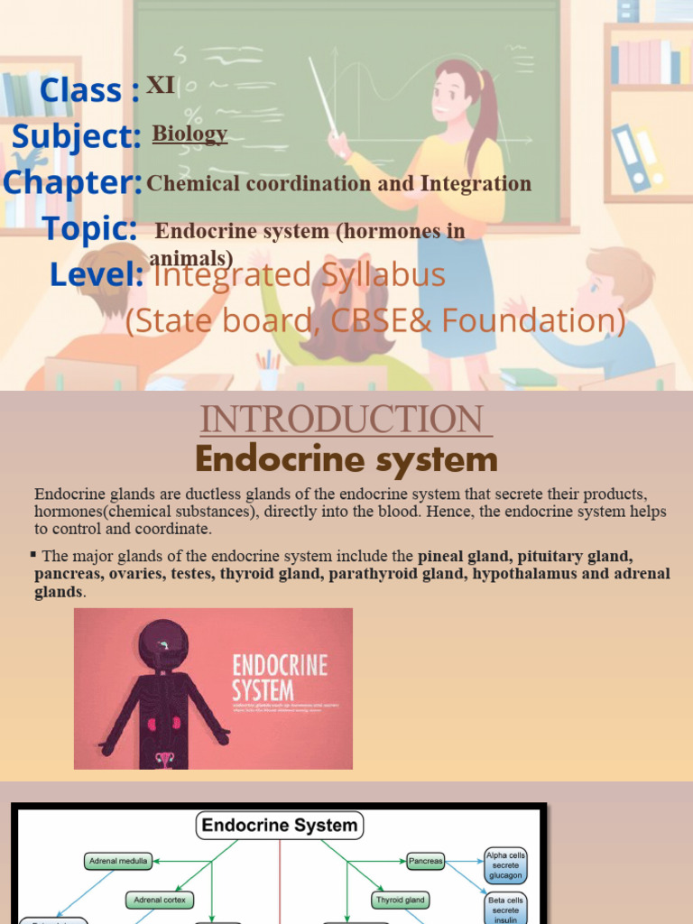 Endocrine System | PDF | Endocrine System | Hormone