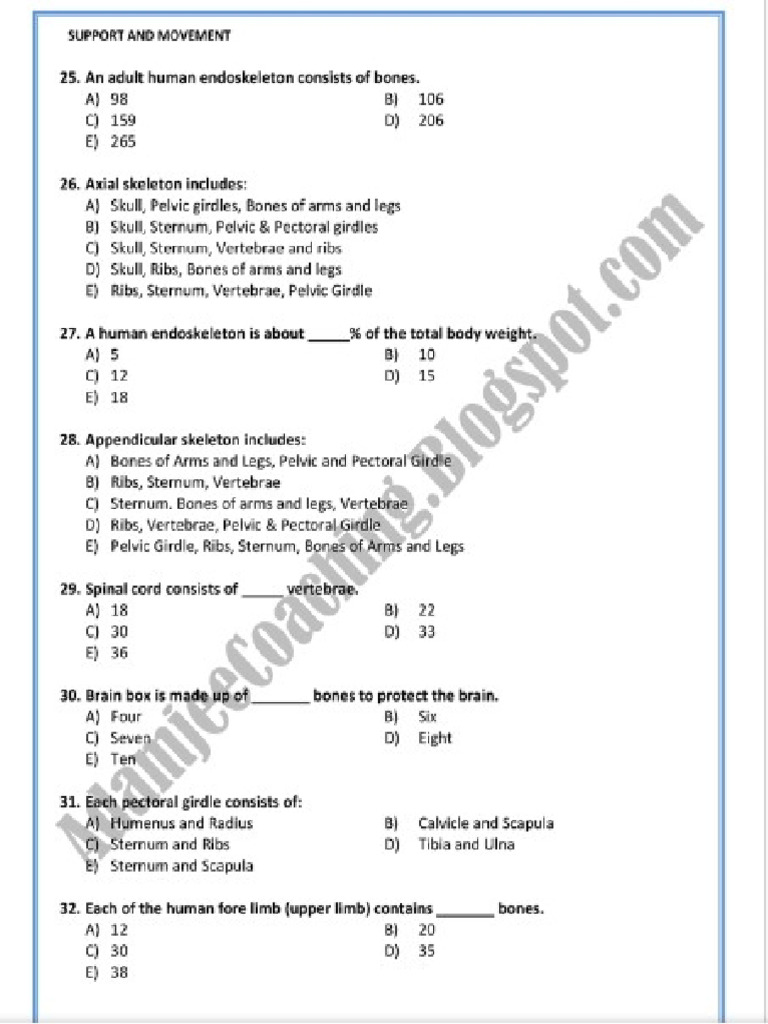 Support and Movement | PDF
